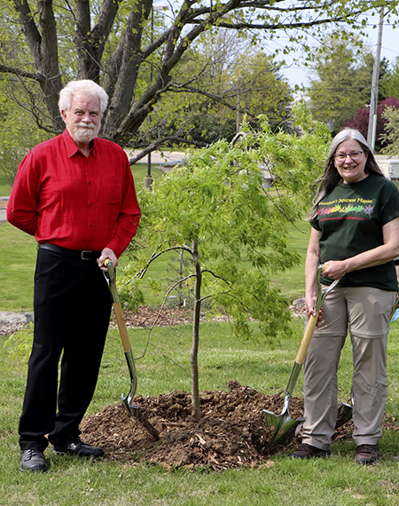 UIS plants the first of 1,000 donated Japanese maple trees on campus ...