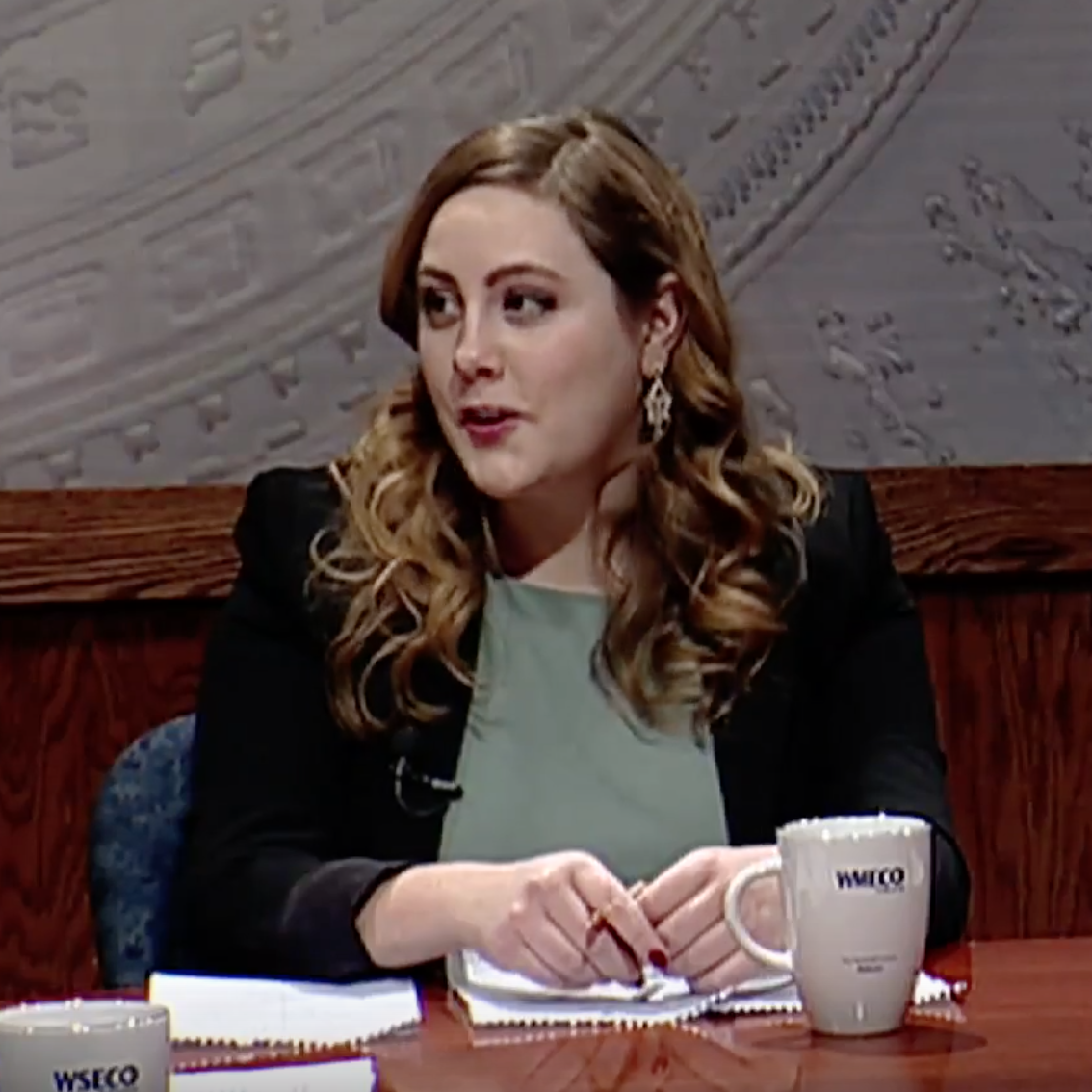 PAR Alumni Spotlight: Hannah Meisel returns to NPR Illinois ...