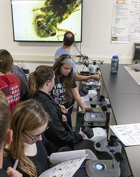 UIS to offer high school students hands-on learning through 2025 ...