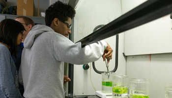 Biology, BS | University of Illinois Springfield