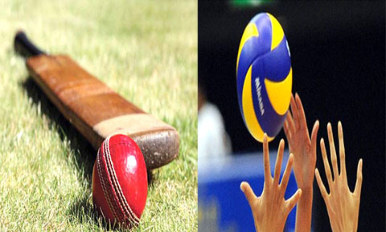 Volleyball & Cricket fellowship | University of Illinois