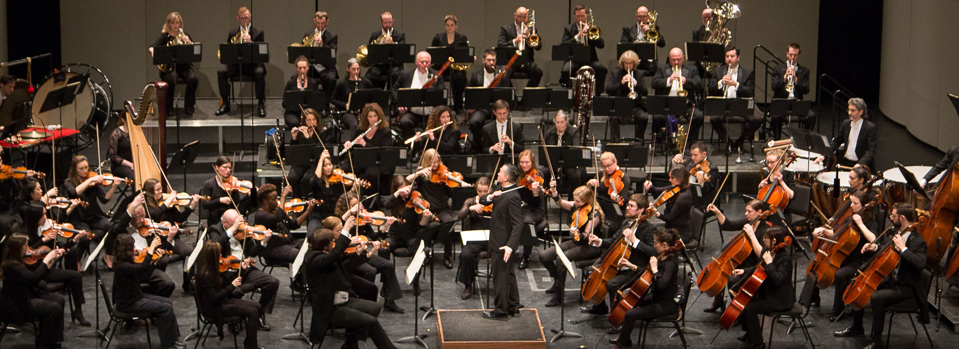 Partnership with the Illinois Symphony Orchestra | University of ...